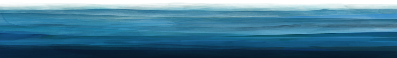 waves footer – Access Path Productions